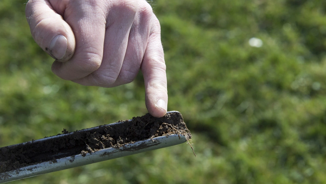 Experts share key soil tips to boost garden health