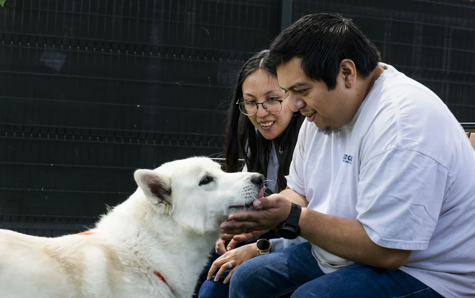Viral dog stories highlight deep bonds with humans