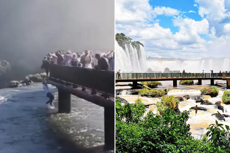 Clueless tourist jumps into rapid waters near 262-foot waterfall to ...