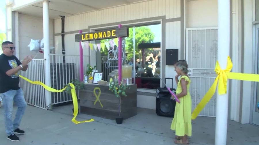 'Stay happy': 9-year-old cancer patient's lemonade stand built for research
