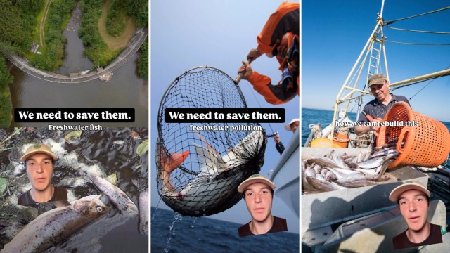 Freshwater fish have plunged 83% since 1970 as dried-up rivers become a ...