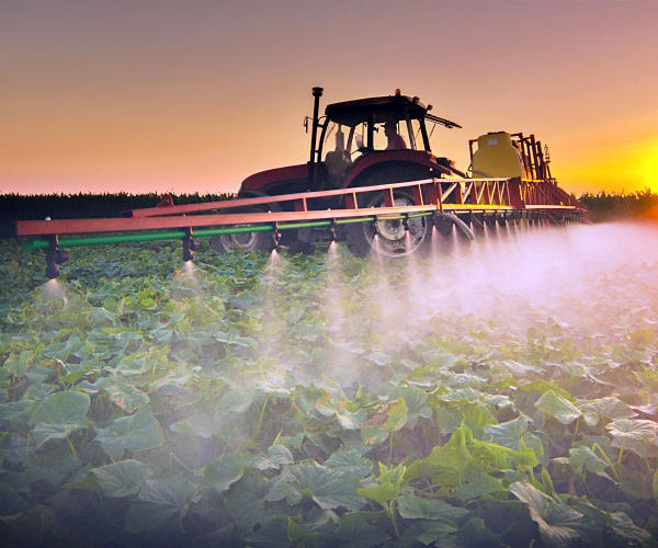 EPA scientists allege pressure to soften chemical risks