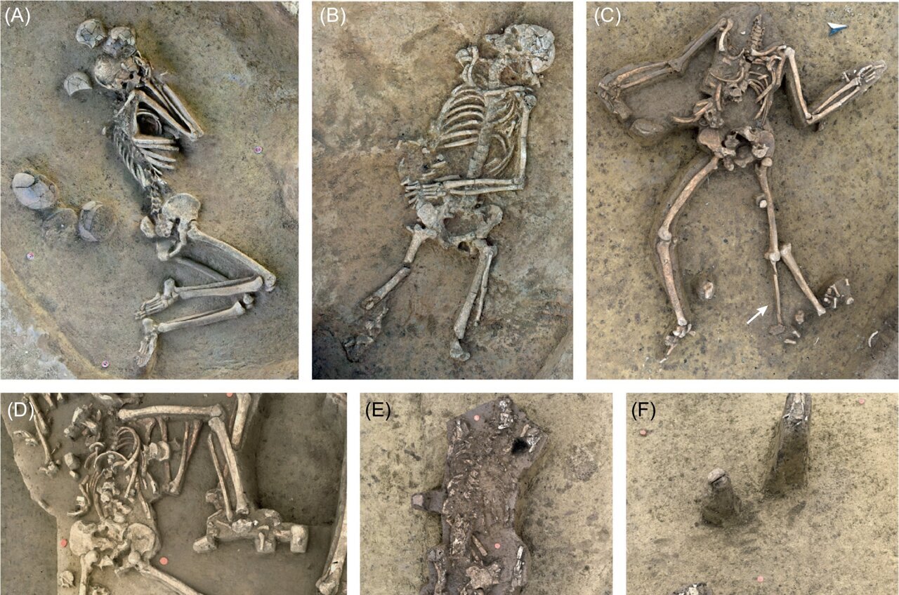Headless skeletons offer new insights into farming societies 7,000 ...