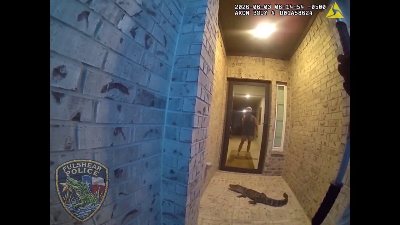 Texas homeowner mistakes alligator on the porch for an Amazon package ...