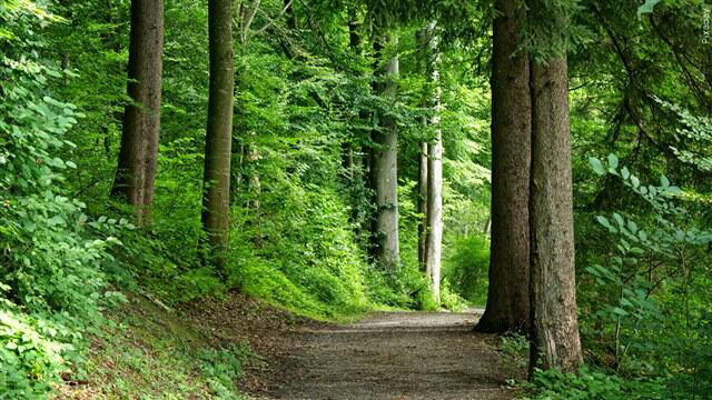 Gov. Reynolds signs executive order establishing Office of Outdoor ...