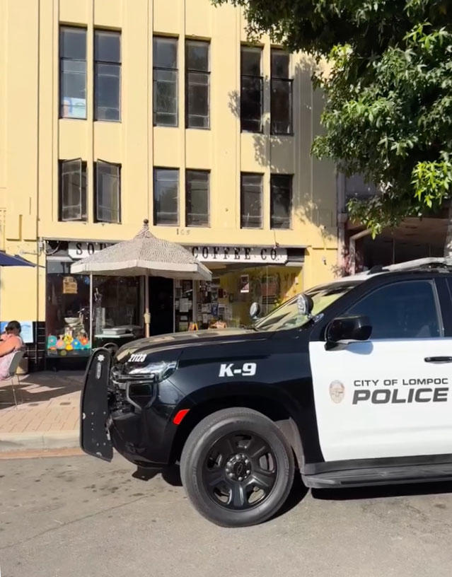 Adorable California town dubbed 'Danish capital of America' mulling ...