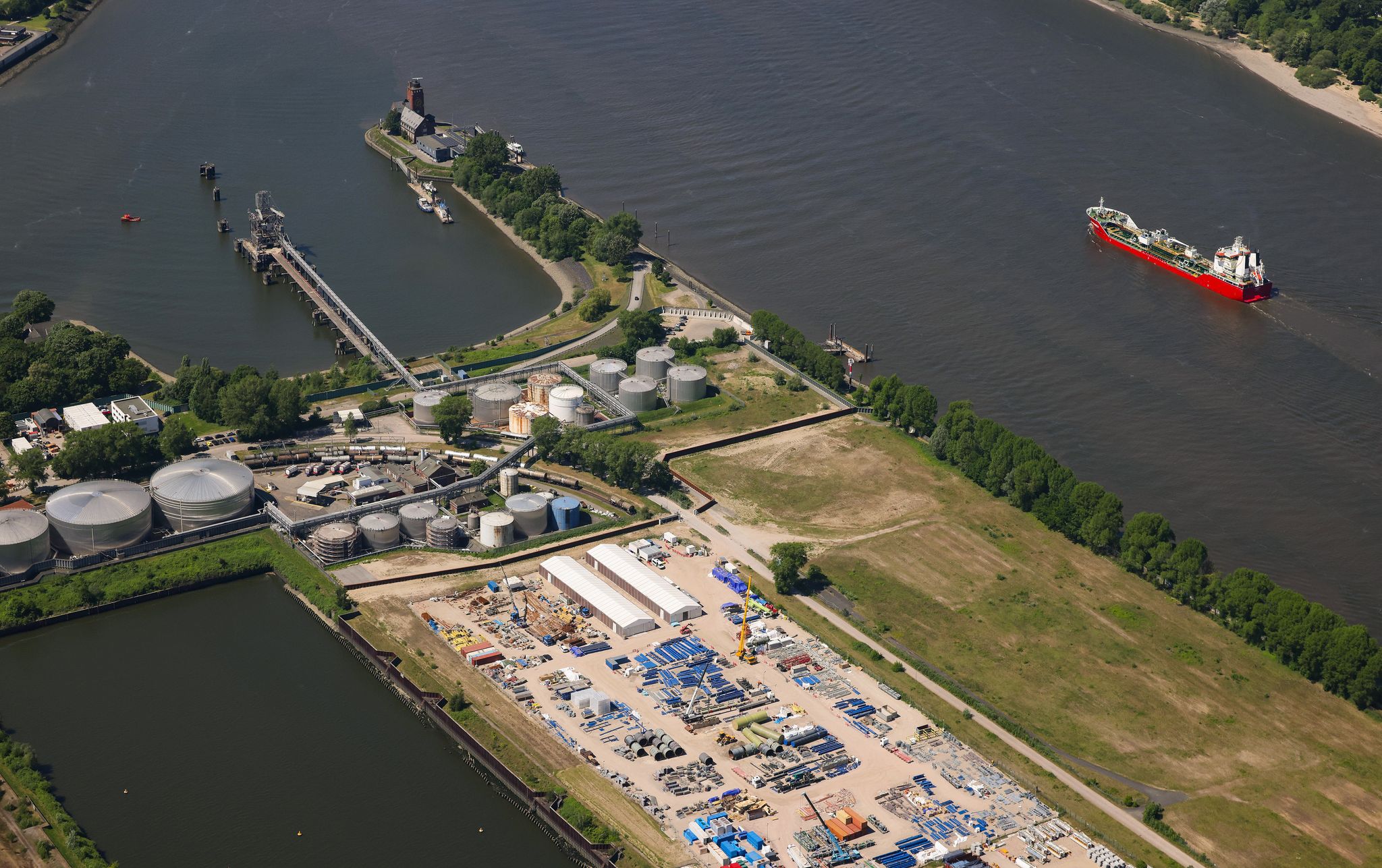 Frühes Sauerstoffloch in der Elbe bedroht Jungfische