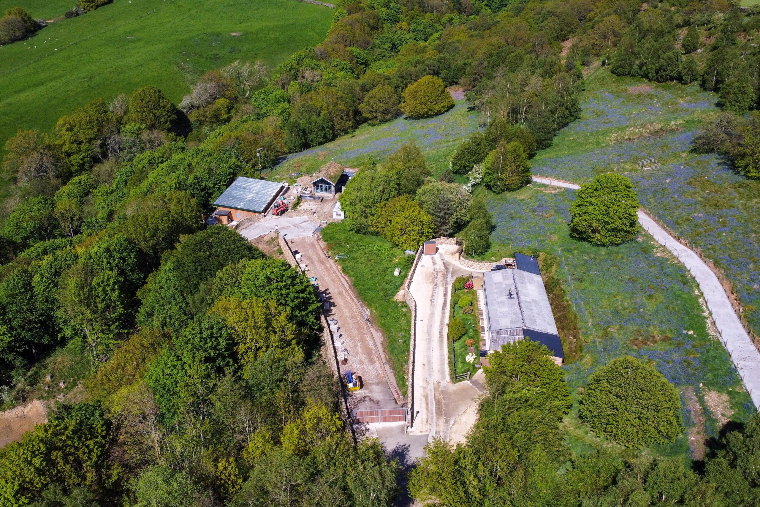 Firm ordered to plant 300 trees after woodland lodges row