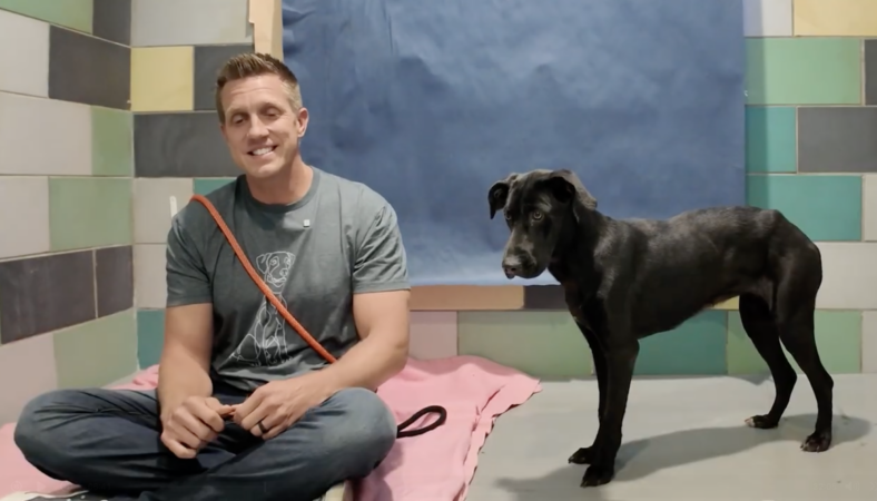 She was withering away in her kennel... then this happened