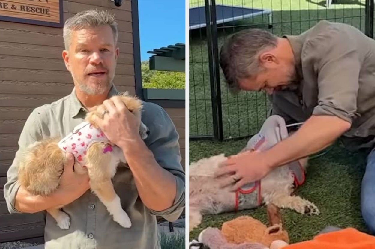 Matt Damon talking about his five rescue dogs has everyone emotional