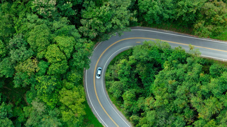 What does the curve sign with a speed limit actually mean?