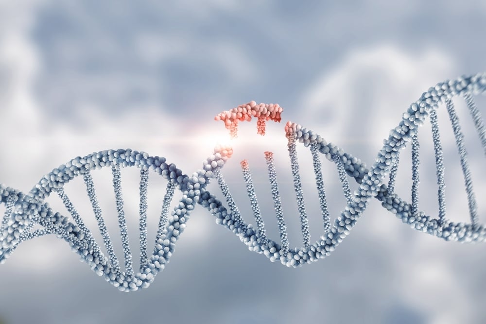 Lucid Diagnostics misses on revenue, but 2026 growth outlook lights up ...