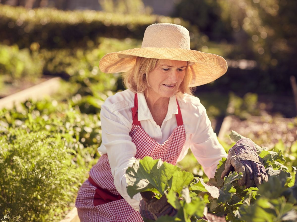 The city gardener: Let’s be careful out there!
