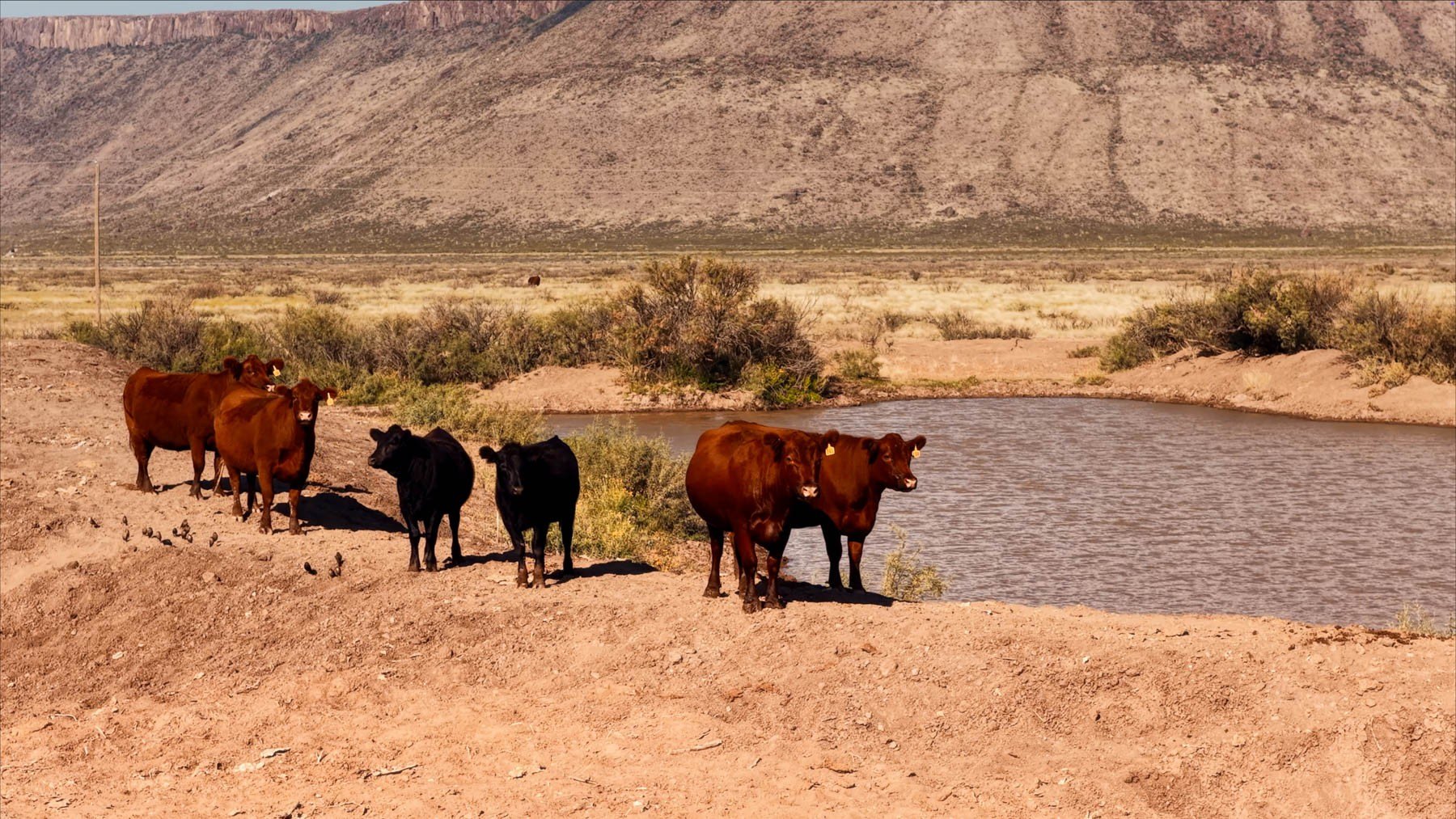 Heritage Ranch in Texas sells for $46M after 60 years in same family