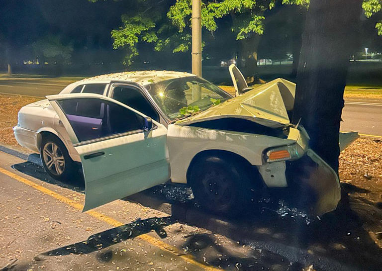 Vancouver driver dies after head-on crash into tree