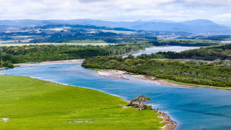 CalTrout gets $4 million for Cannibal Island, Eel River estuary restoration