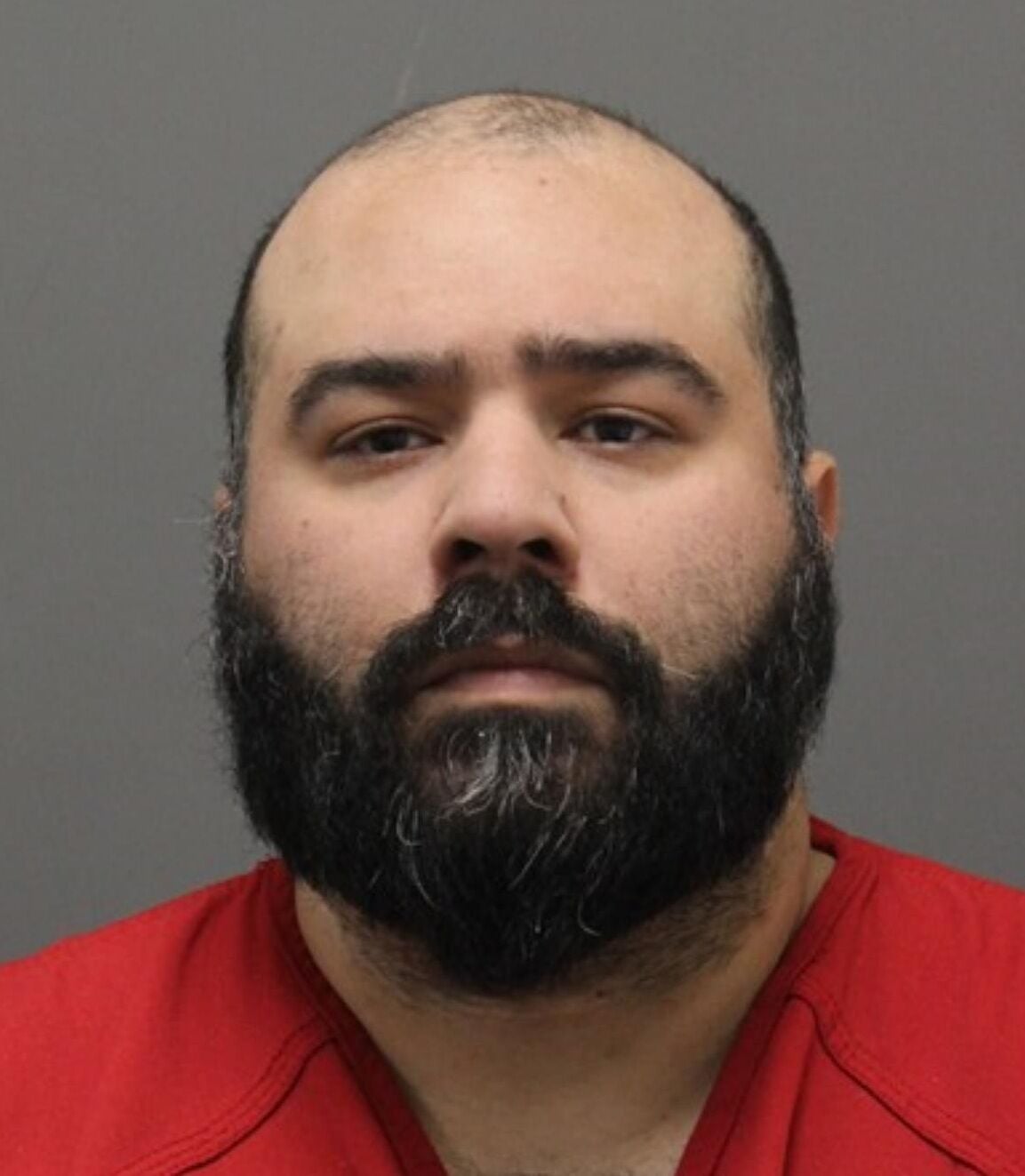 Ashburn man charged with crimes against children, animals; police say ...