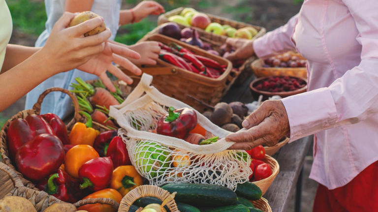 What is a farm share and is it worth the money?