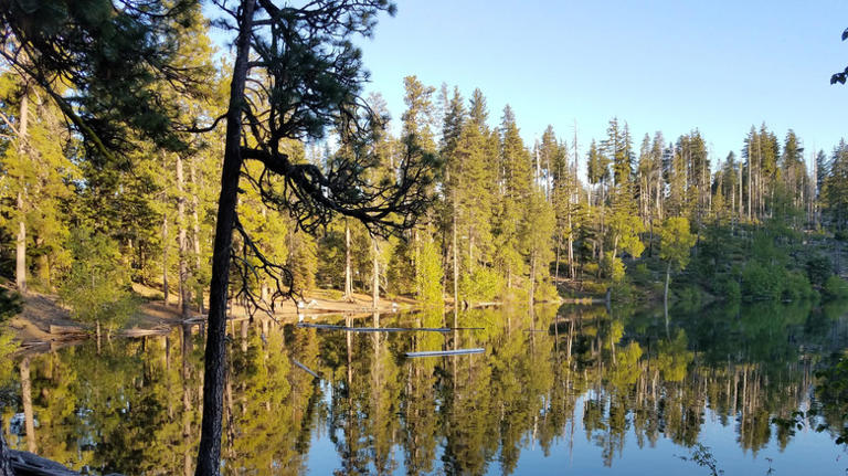 Oregon's scenic lake in Deschutes National Forest offers camping ...