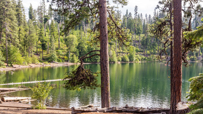 Oregon's scenic lake in Deschutes National Forest offers camping ...