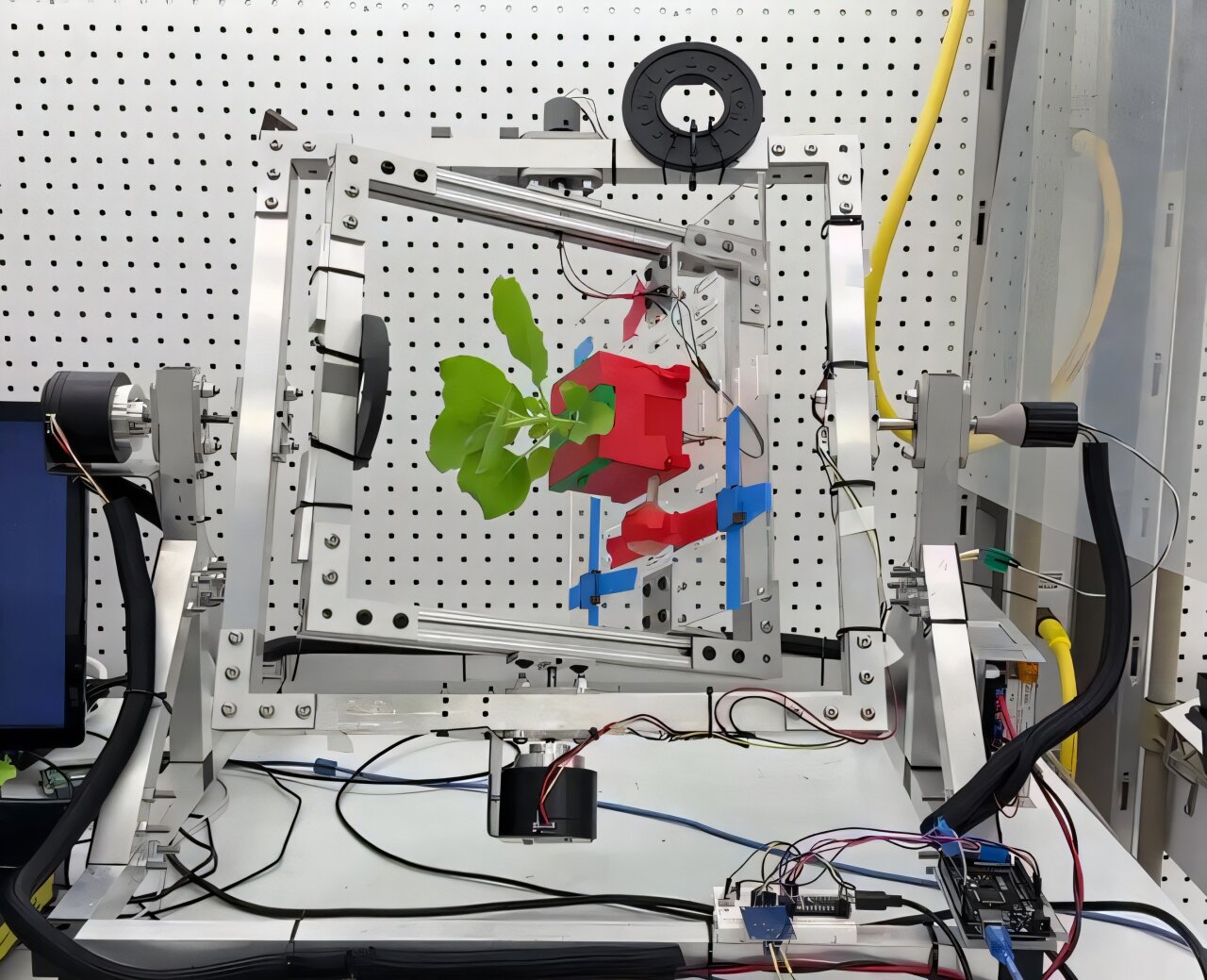 Plants could be used to grow medicines in space, study shows