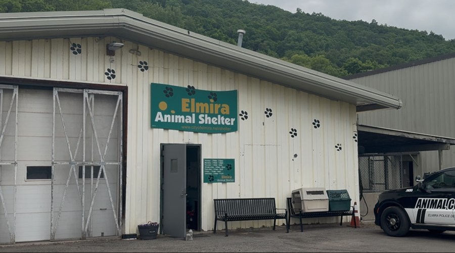 Elmira animal shelter not selected for $500k state grant