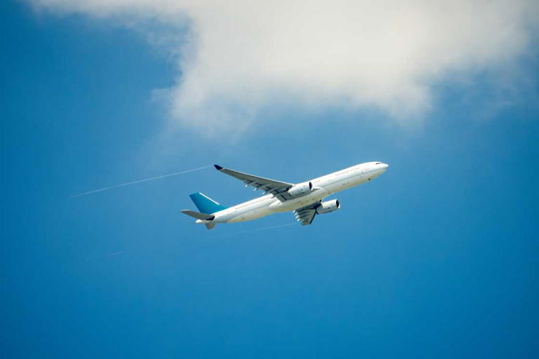 New Zealand announces new work visa opportunities for international ...