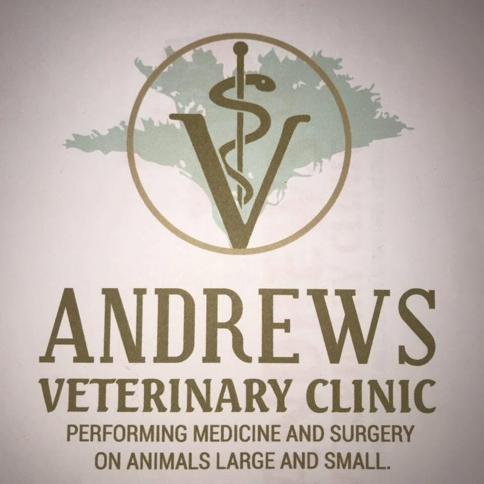 New World screwworm case confirmed in dog, Andrews Veterinary Clinic says