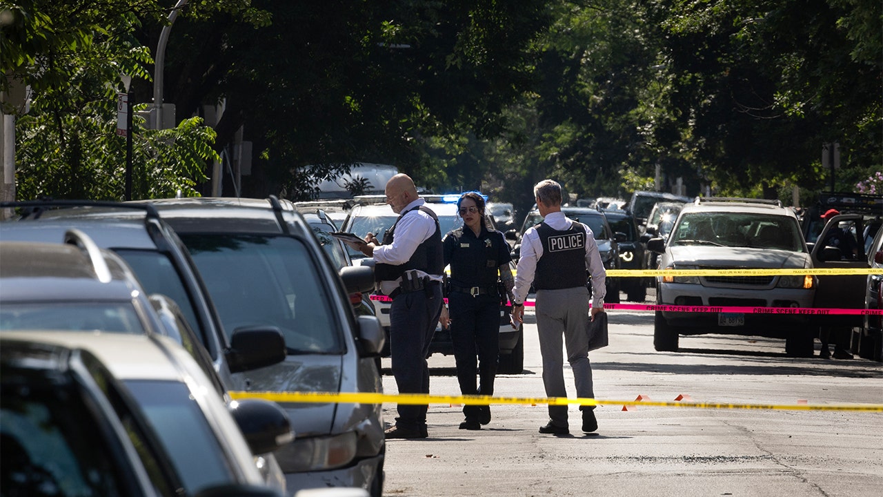 Four dead and 29 shot in Chicago weekend violence as leaders tout crime ...