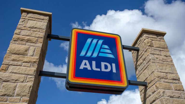 Discover Aldi's $15 collapsible picnic table for effortless outdoor dining
