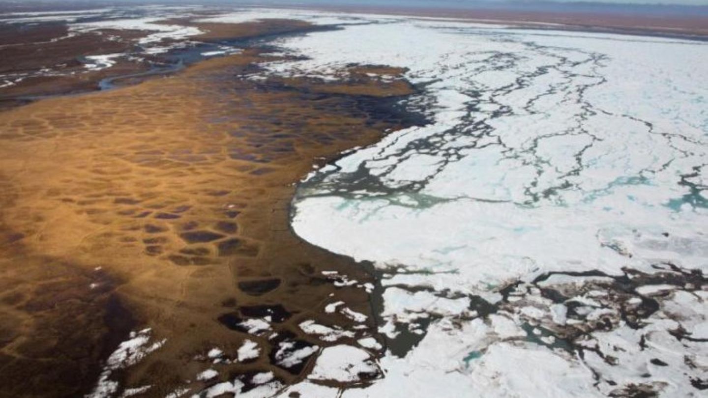 BLM auction in Arctic refuge yields five oil and gas leases