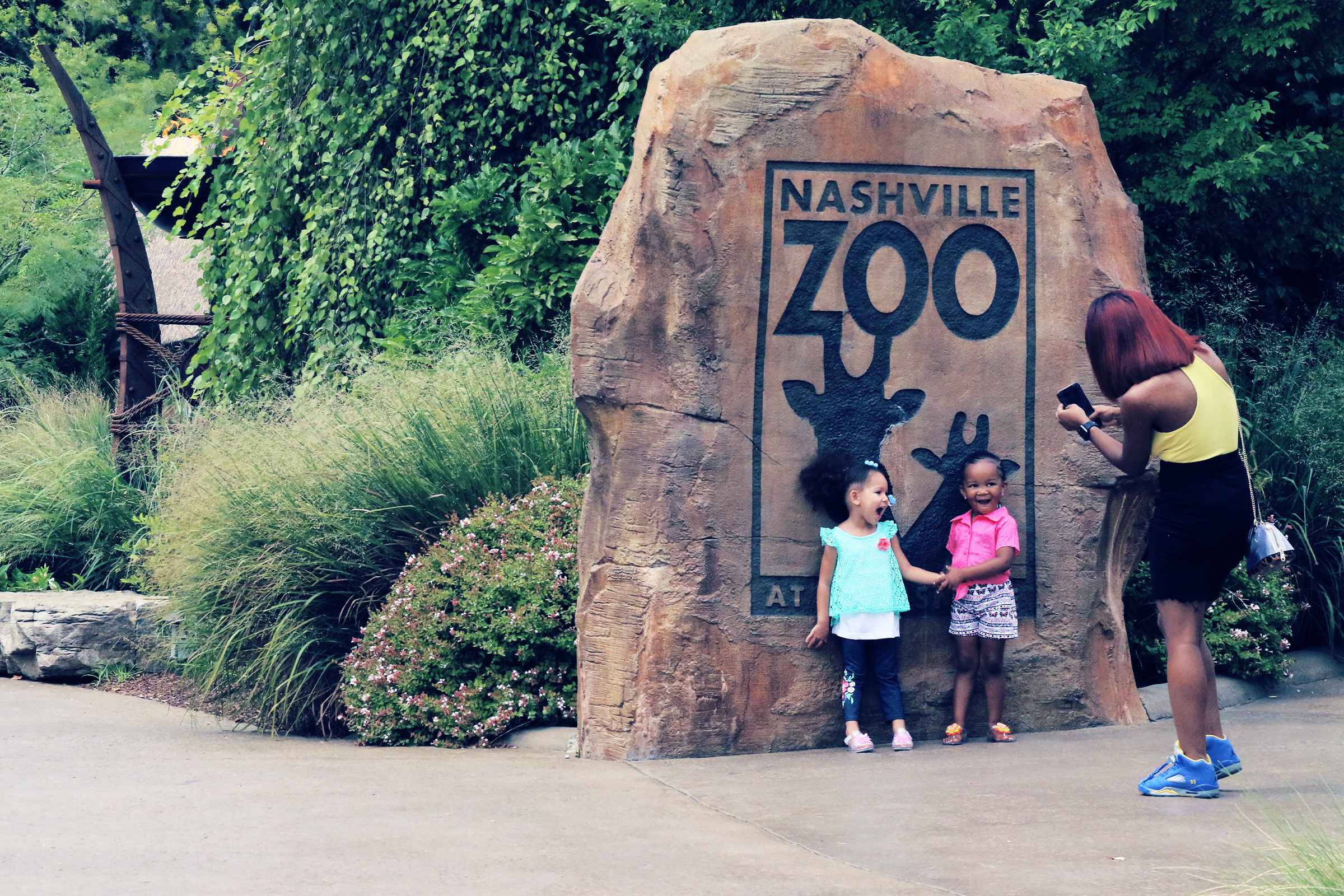 Zoo officials horrified by AI data center menacing their endangered animals