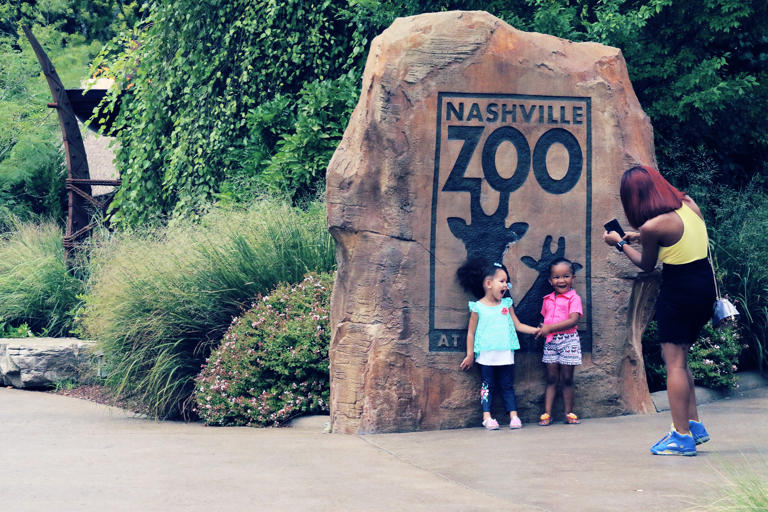 Zoo officials horrified by AI data center menacing their endangered animals