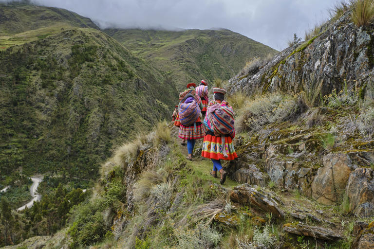 Indigenous Andeans may digest potatoes better than anyone else in the ...