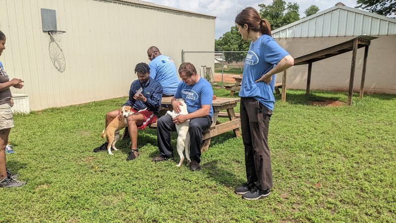 This heartwarming non-profit animal sanctuary in Oklahoma is a ...