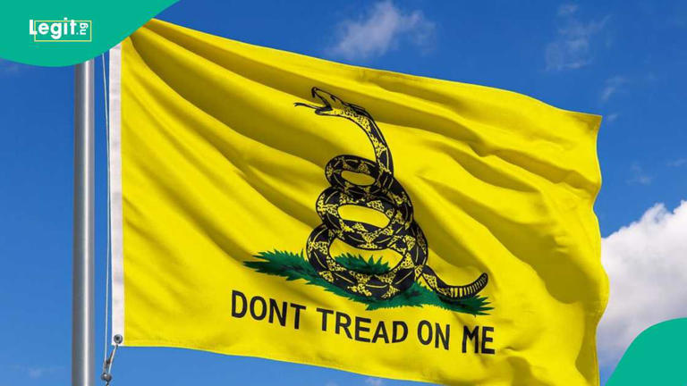 Full images of US old flags emerged, showing how their designs evolved
