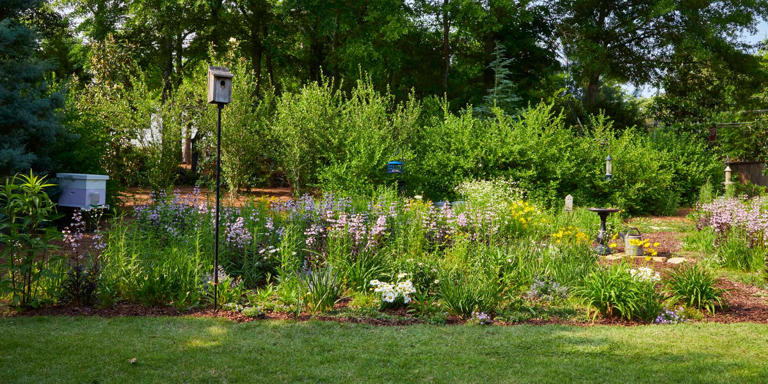 The English-inspired garden trend convincing homeowners to ditch grass
