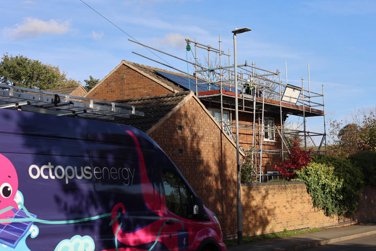 Are Octopus solar panels really worth it? Here’s our expert’s verdict