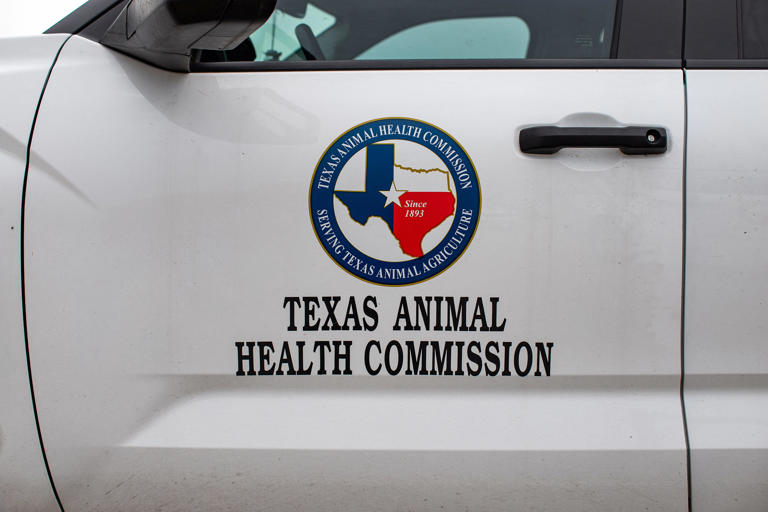 New World screwworm cases escalate, Texas response, disaster aid