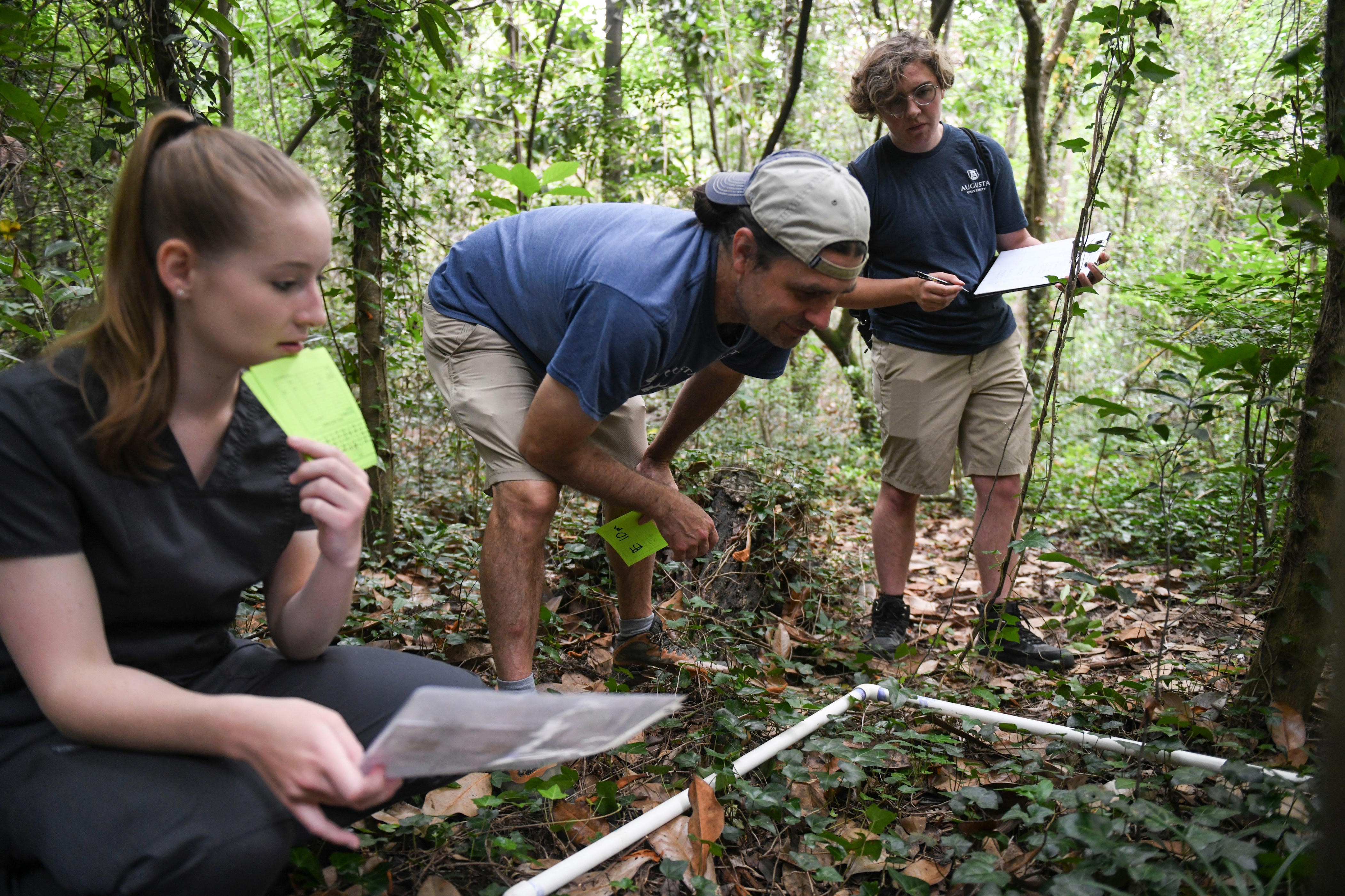 How to fight kudzu, fire ants and other invasive species in your yard