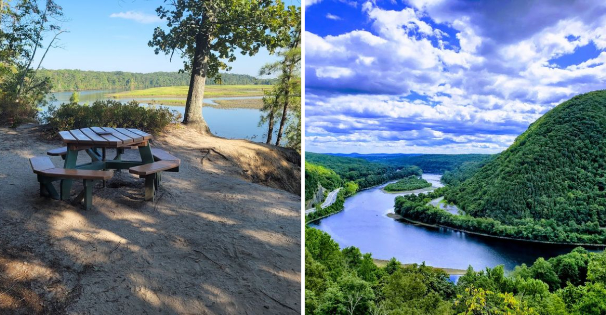 10 underrated New Jersey hiking trails ending in epic panoramic views