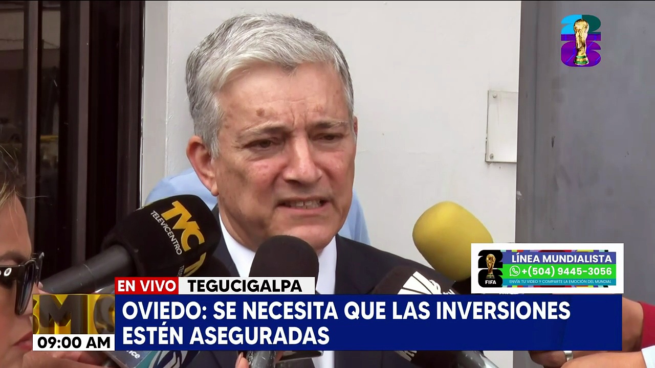 En cuatro sociedades anónimas sería dividida la ENEE