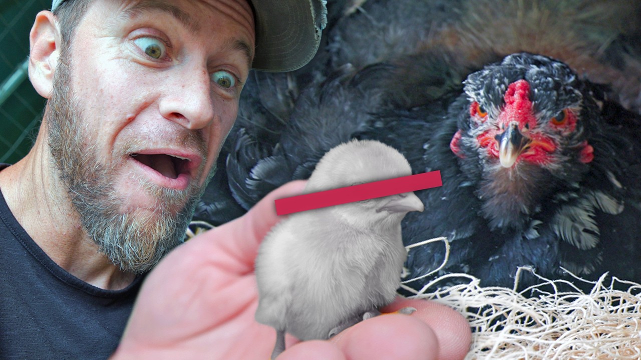 We found so many surprises on our farm tour!
