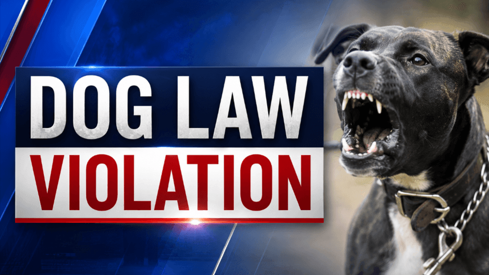 Williamsport police address concerns over loose dogs linked to attacks ...