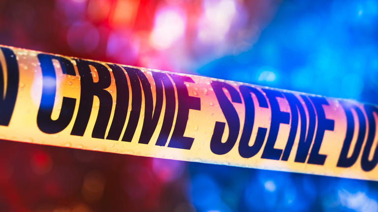 Driver of stolen car crashes into St. Pete home, causes fire, police say