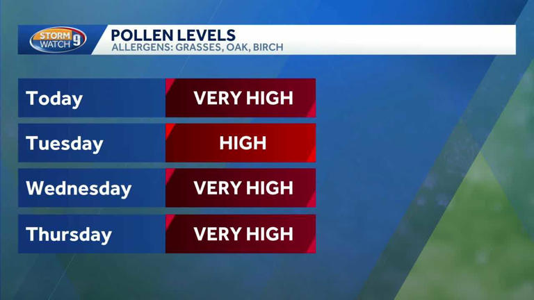 Pollen levels remain high across Granite State