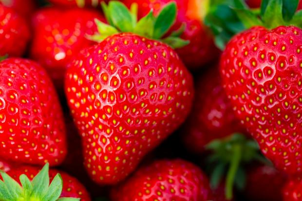 Popular Warrington farm announces start of strawberry picking season