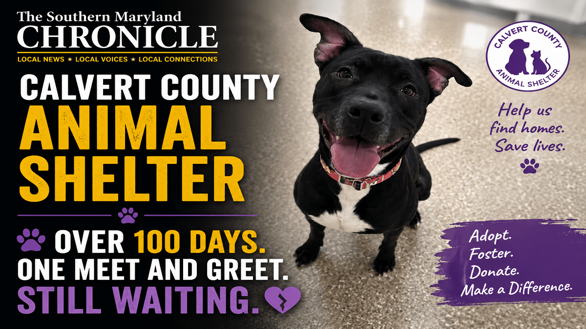 Calvert shelter promotes adoption for long-term resident Zeus