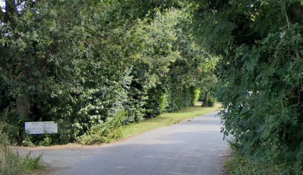 Boy, 12, dies in hospital after being struck by car in Essex village