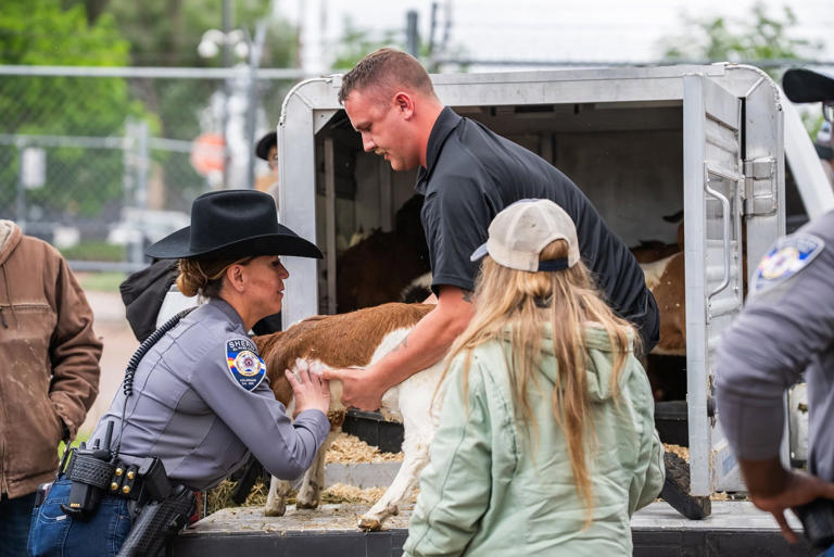 Baa-ad boy goat crew takes on weeds at jail
